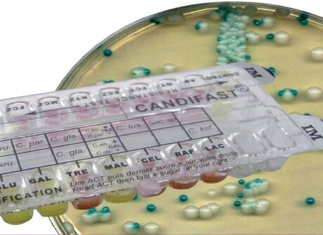 CANDIFAST® - ELITechGroup Microbiology
