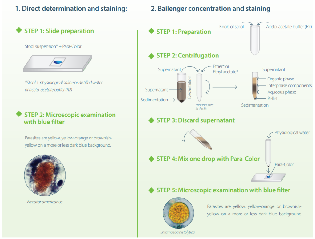 ELIstain Paratest - ELITechGroup Microbiology