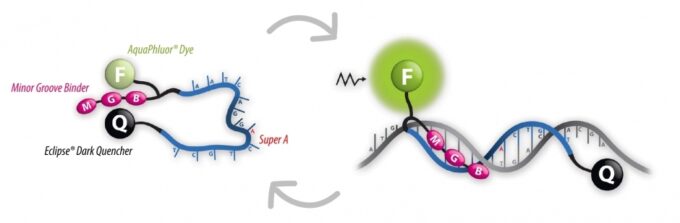 Unique Real-Time PCR technologies - ELITechGroup Molecular Diagnostics International