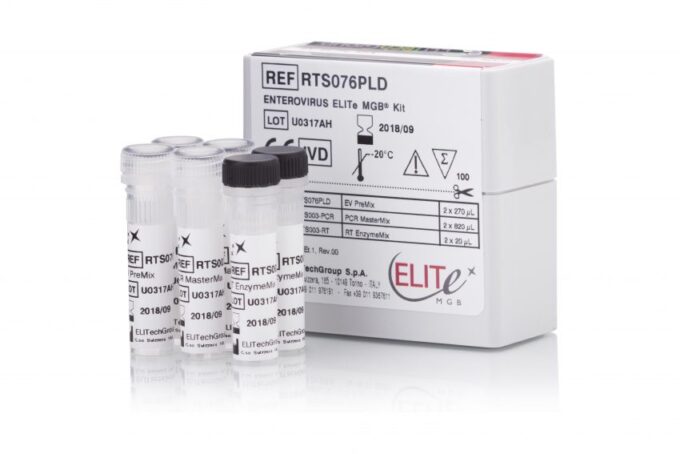 Enterovirus ELITe MGB® Kit - ELITechGroup Molecular Diagnostics ...