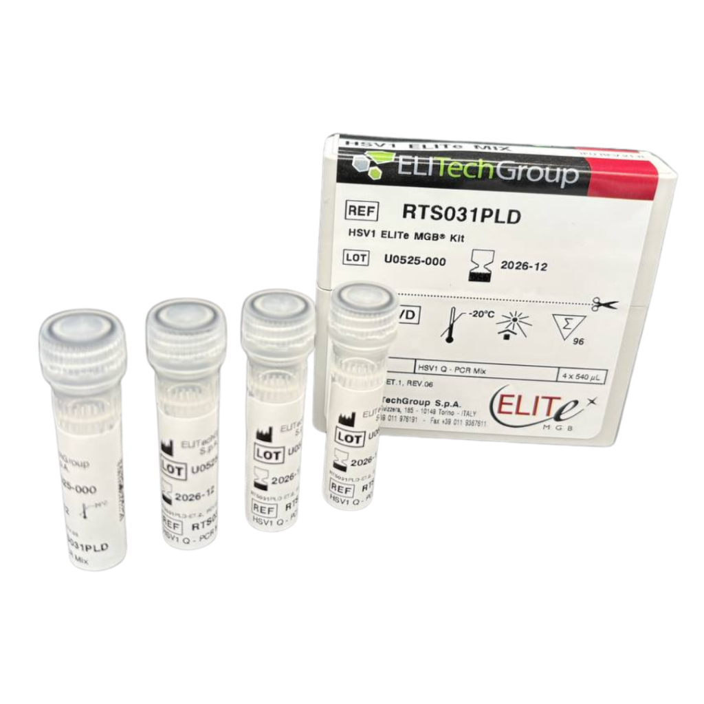 HSV1 ELITe MGB® Kit - ELITechGroup Molecular Diagnostics International