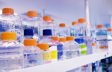 The Importance of Maintaining an Organized Lab | ELITechGroup: In Vitro ...